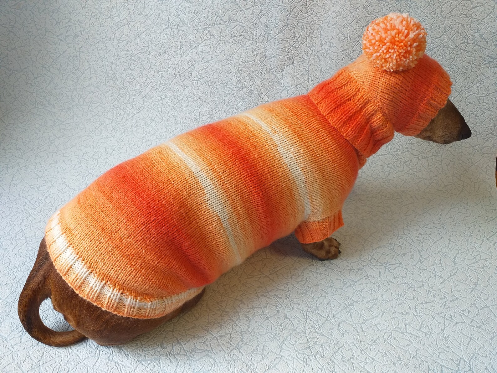 Wiener Costume Sweater and Hat Doxie Sweater and Hat Set - Etsy