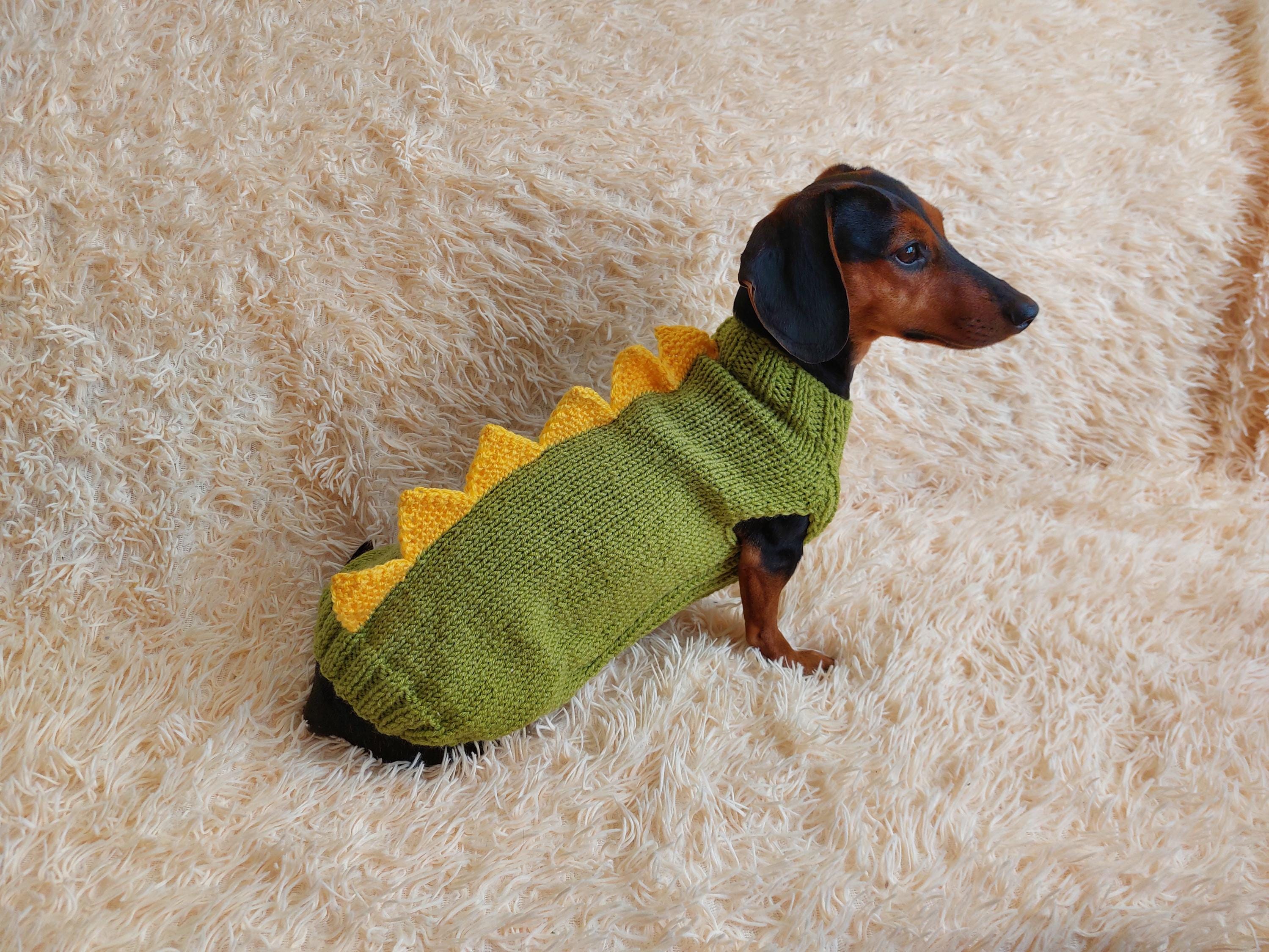 Dinosaur Sweater for Small Dog Clothes for Dog Dinosaur Knitted Dinosaur Sweater. Etsy Ireland