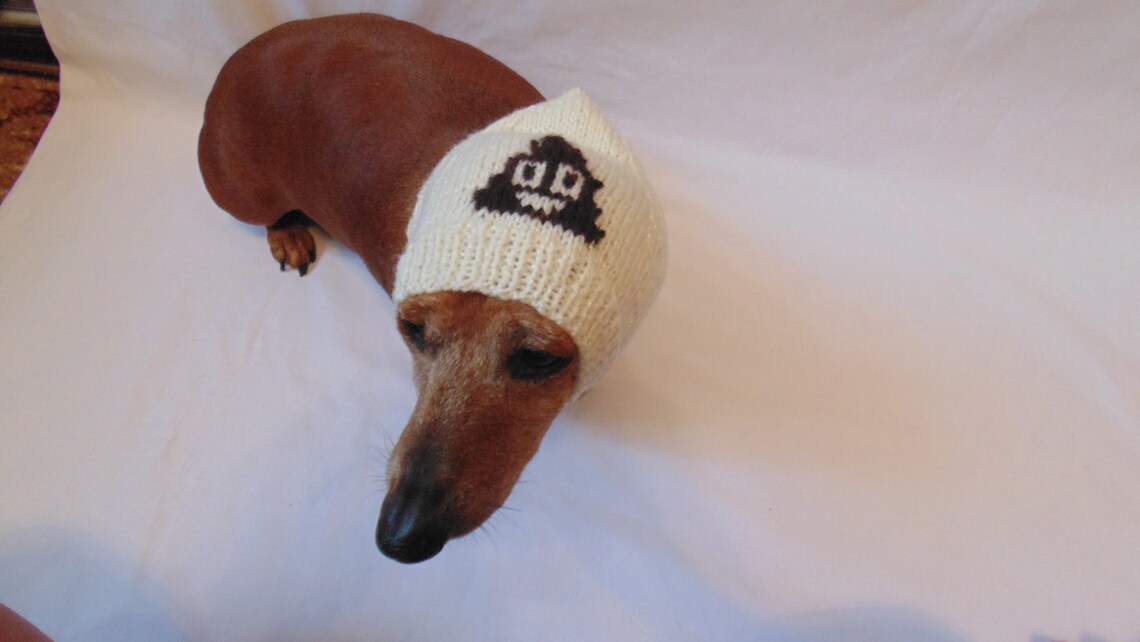 Hat for Dog Funny Poop Warm Winter Hat for Small Dog - Etsy