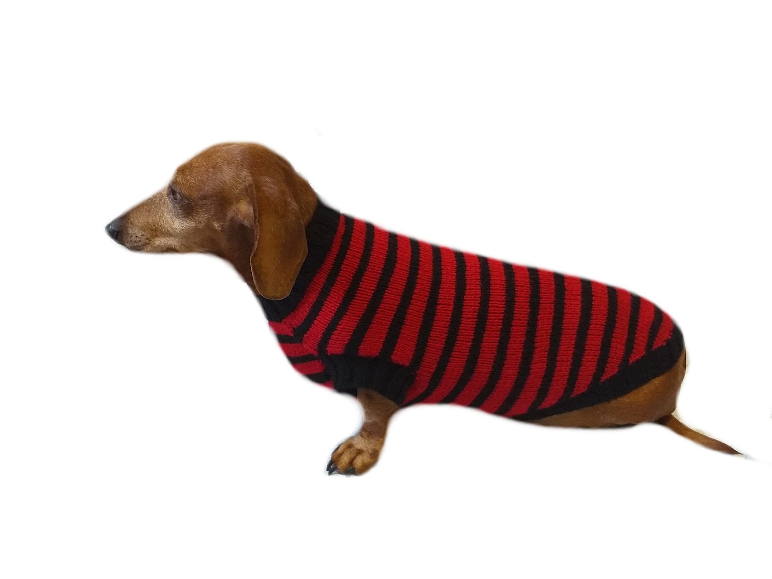 Red With Black Stripes Dog Knitted Sweater Clothes for - Etsy