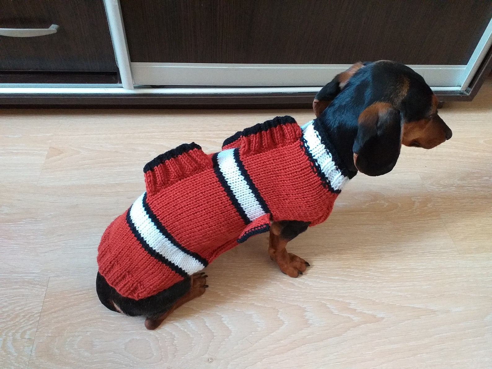 Fish Costume for Dog Sweater Sweater Fish for Dogs Clothes - Etsy