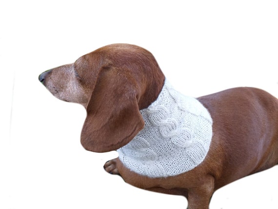 Dachshund or Small Dog Scarf Snood - Etsy