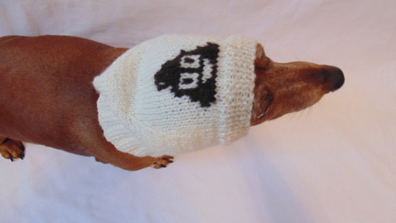 Hat for Dog Funny Poop Warm Winter Hat for Small Dog - Etsy