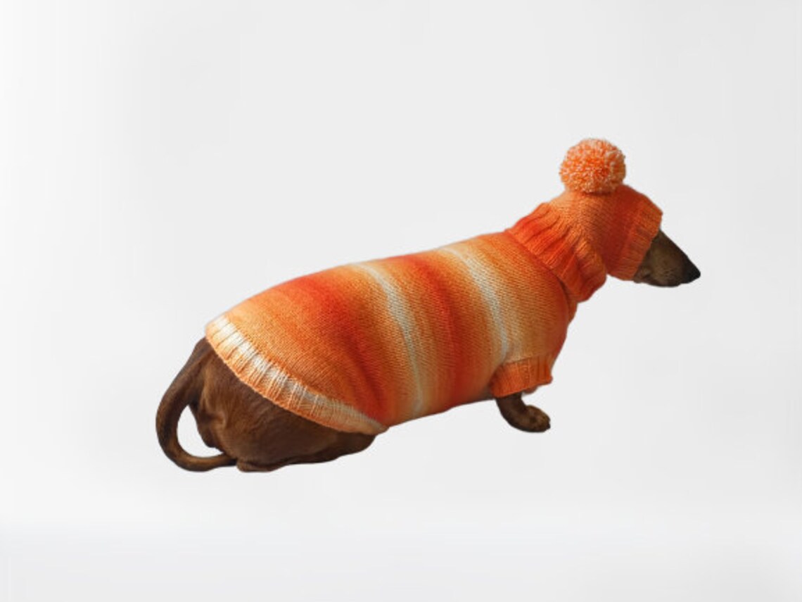 Wiener Costume Sweater and Hat Doxie Sweater and Hat Set - Etsy