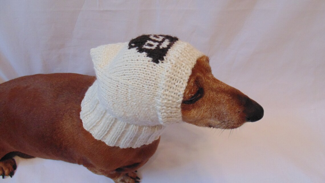 Hat for Dog Funny Poop Warm Winter Hat for Small Dog - Etsy