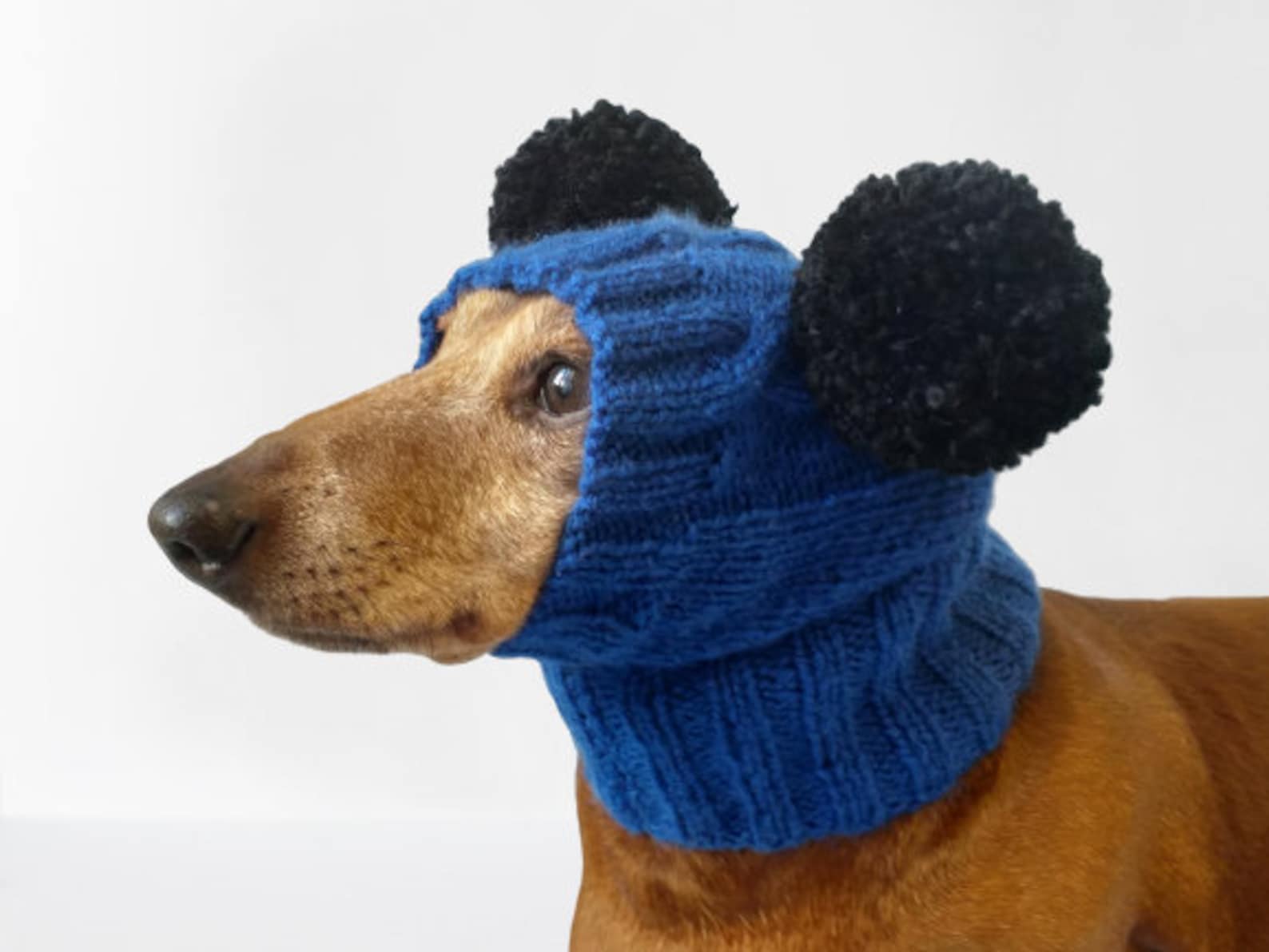 Clothing for miniature dachshund or small dog hat with two | Etsy