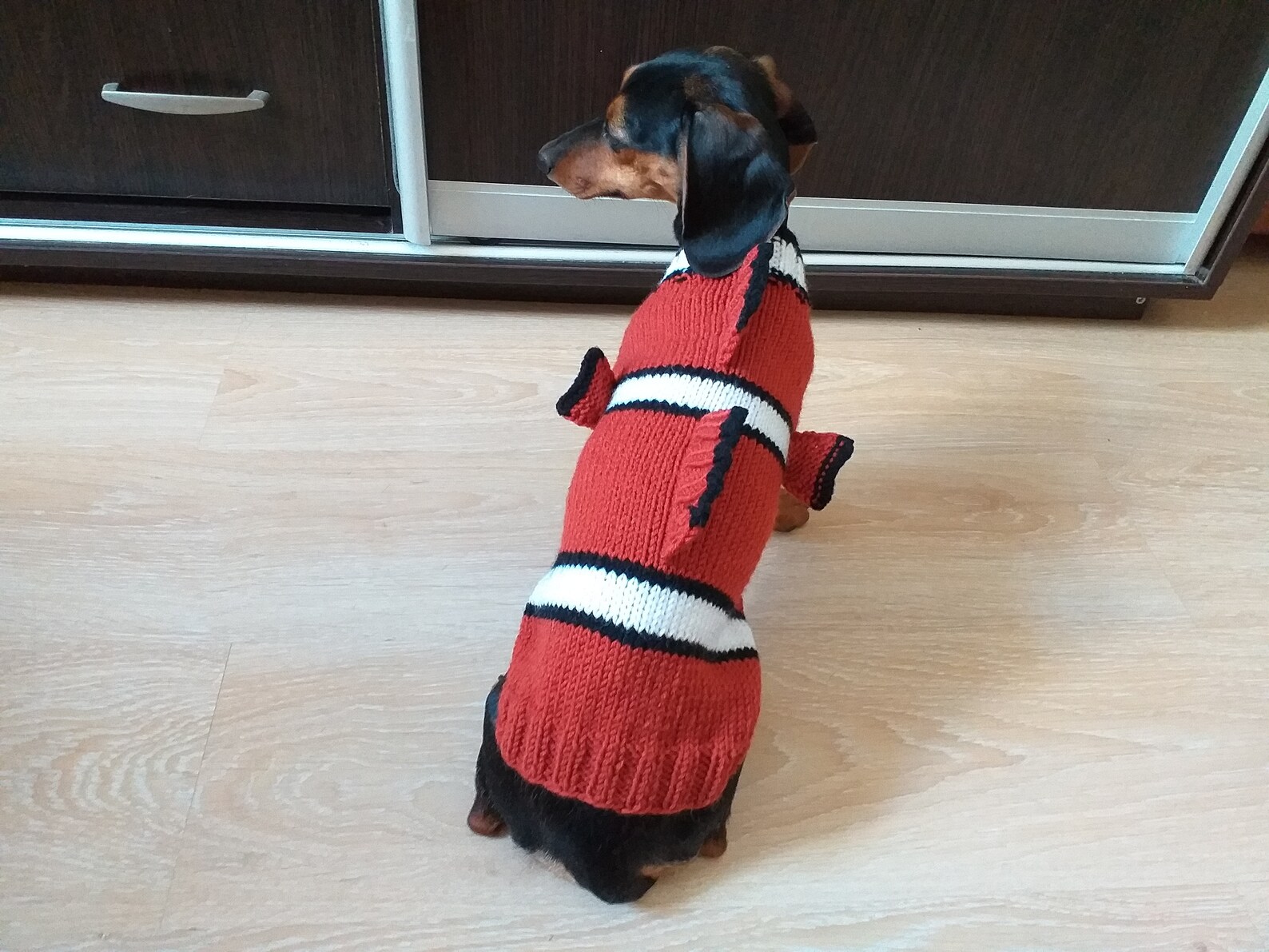 Fish Costume for Dog Sweater Sweater Fish for Dogs Clothes - Etsy