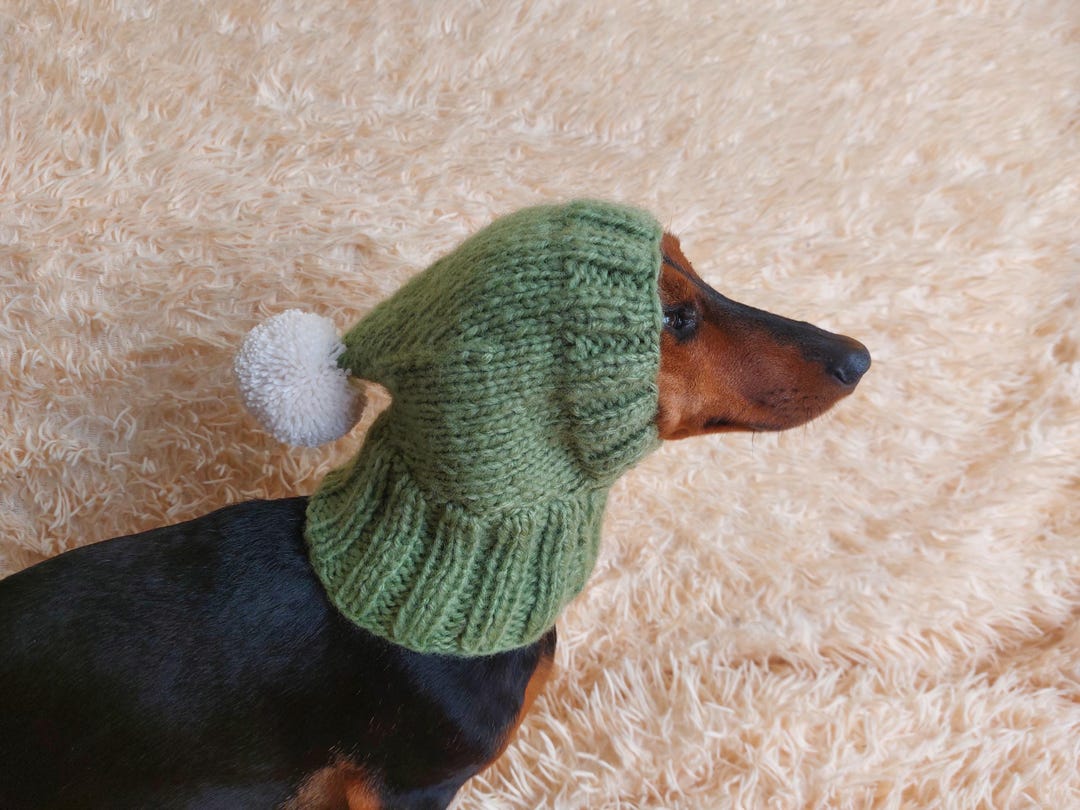 Angora Wool Snood Hat for Medium Dogs, Hat for Dachshund, Pug, French ...