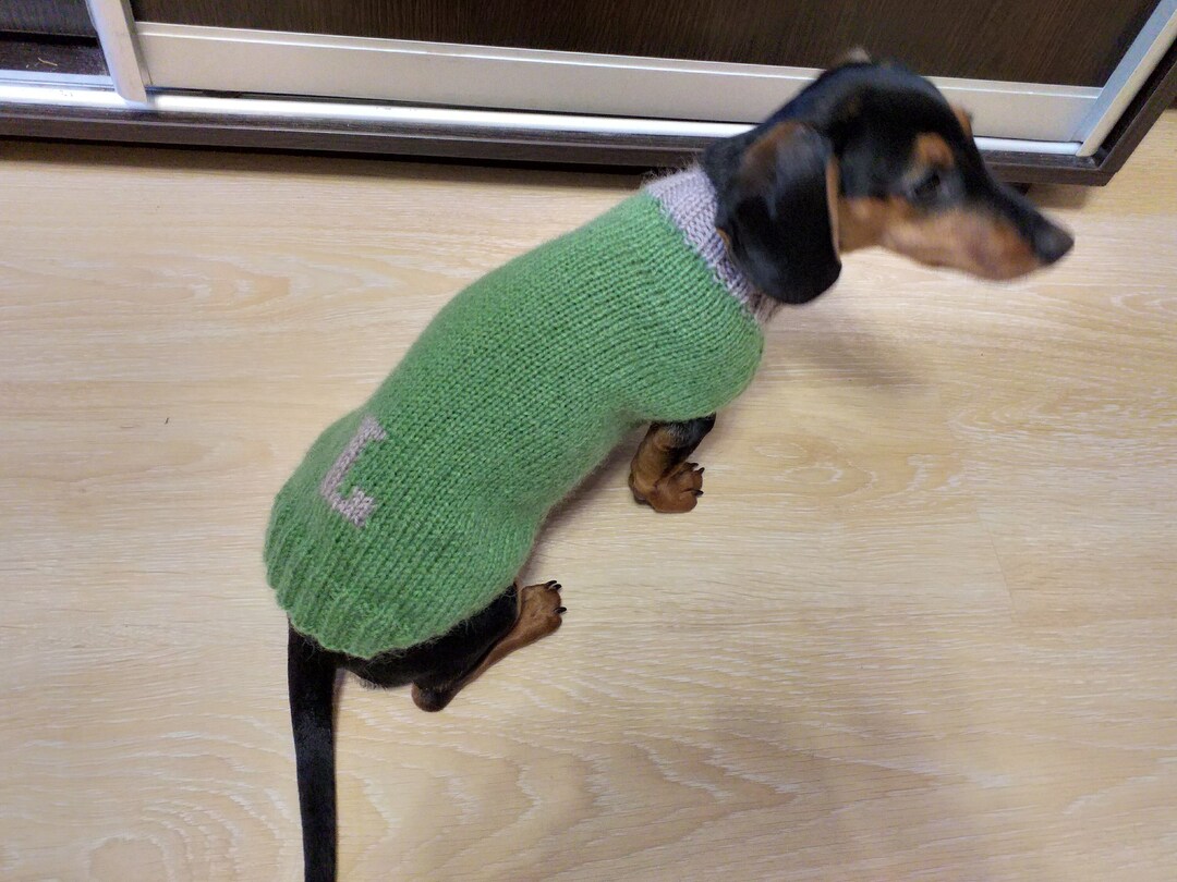 Personalized Dog Sweater With Initials, Dog Clothes With Letter of Name ...