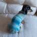 Warm Coat for Wiener Dog, Miniature Dachshund Knitted Jumper, Dachshund ...