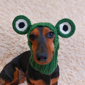 Crocheted Wool Blend Frog Hat for Pet Costume - Dog Photo Prop - Etsy