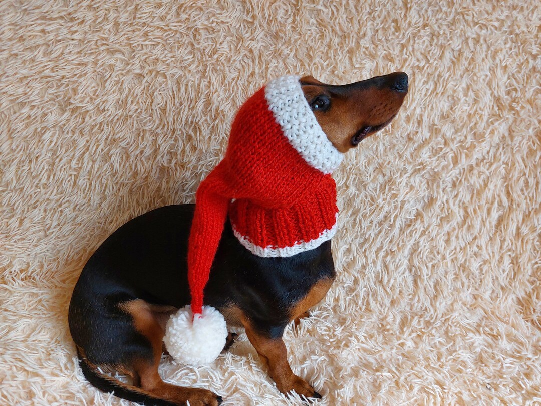 Knitted Wool Blend Santa Hat for Dogs: Dachshund Christmas Costume - Etsy