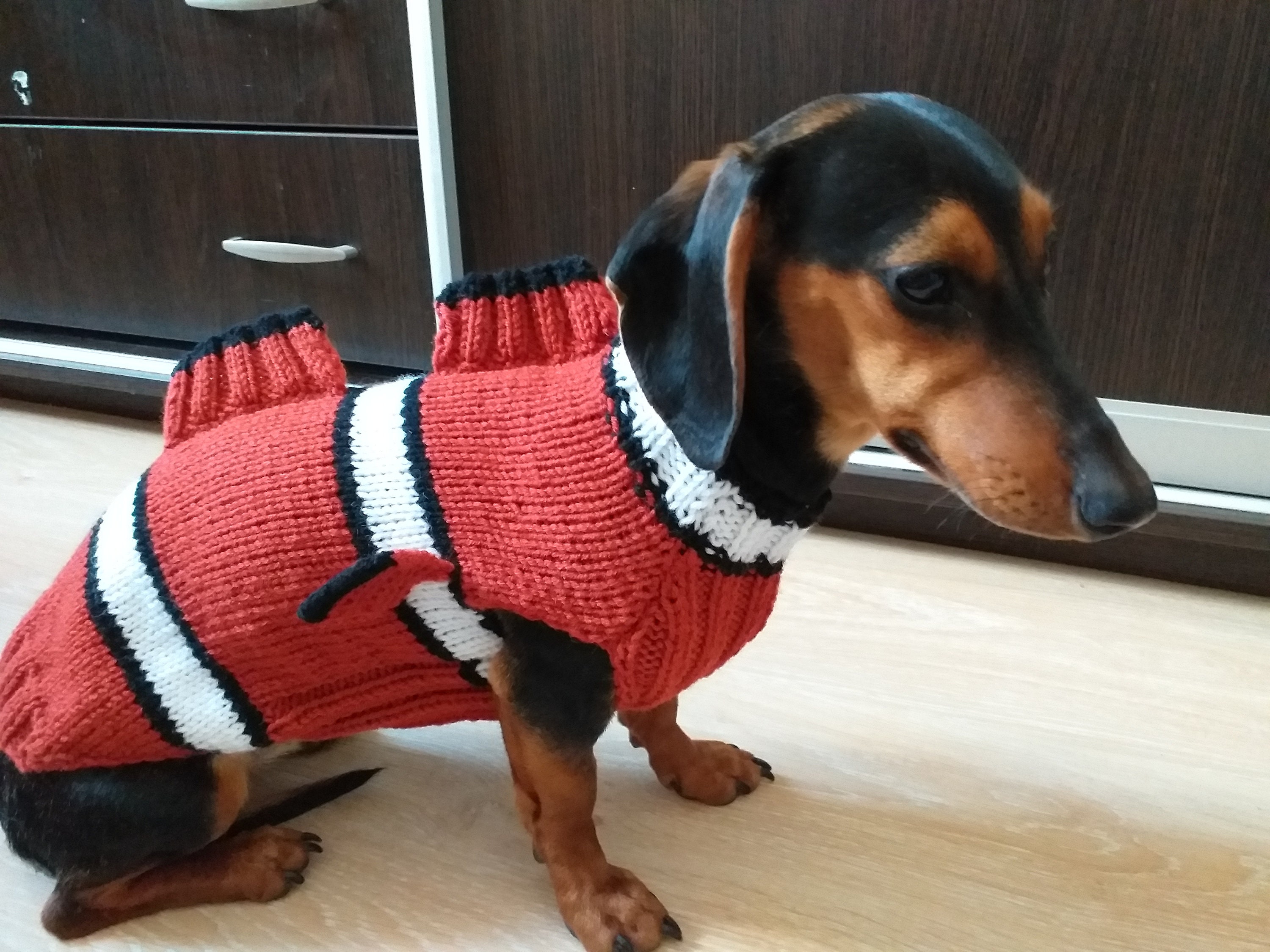 Fish Costume for Dog Sweater Sweater Fish for Dogs Clothes - Etsy
