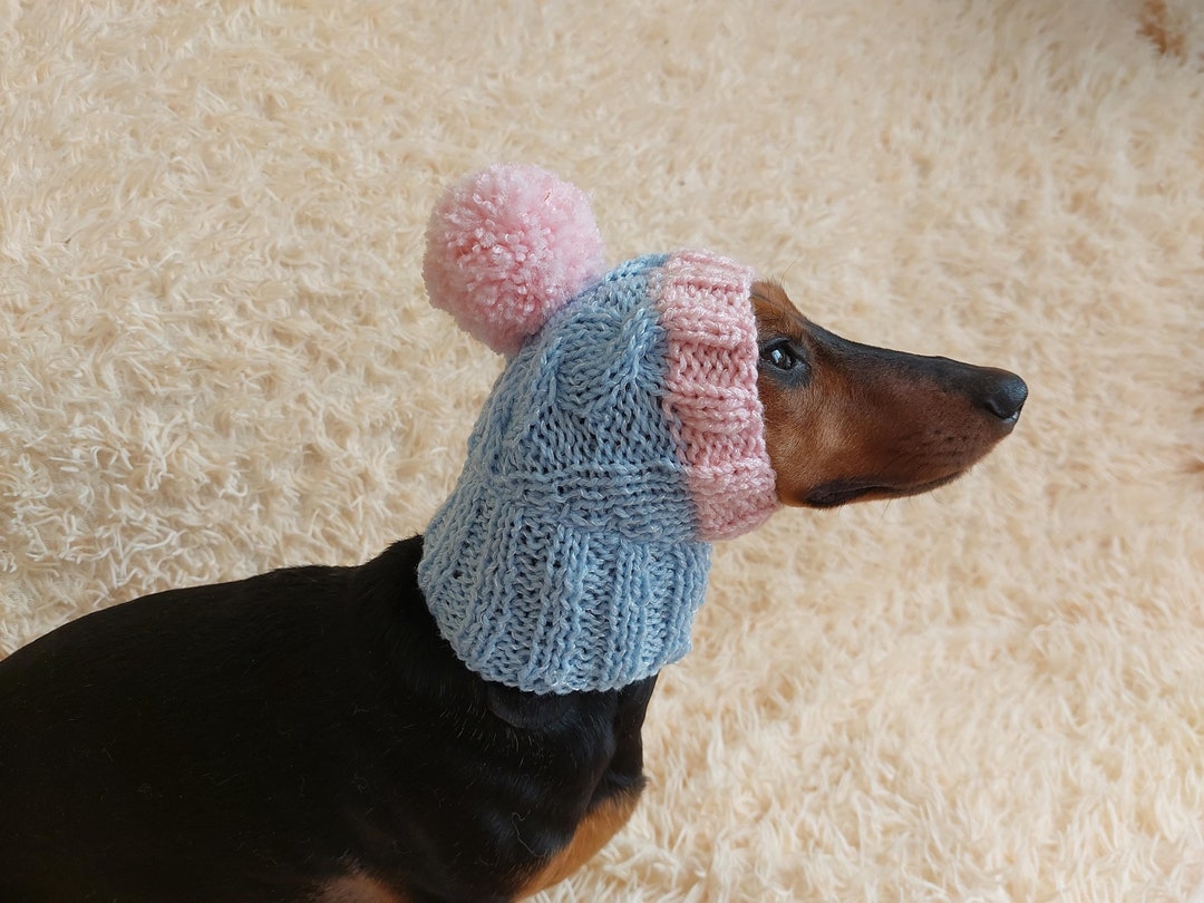 Pet Snood Hat Winter Warm Wool Snood Hat for Small Dogs With Pom Pom ...