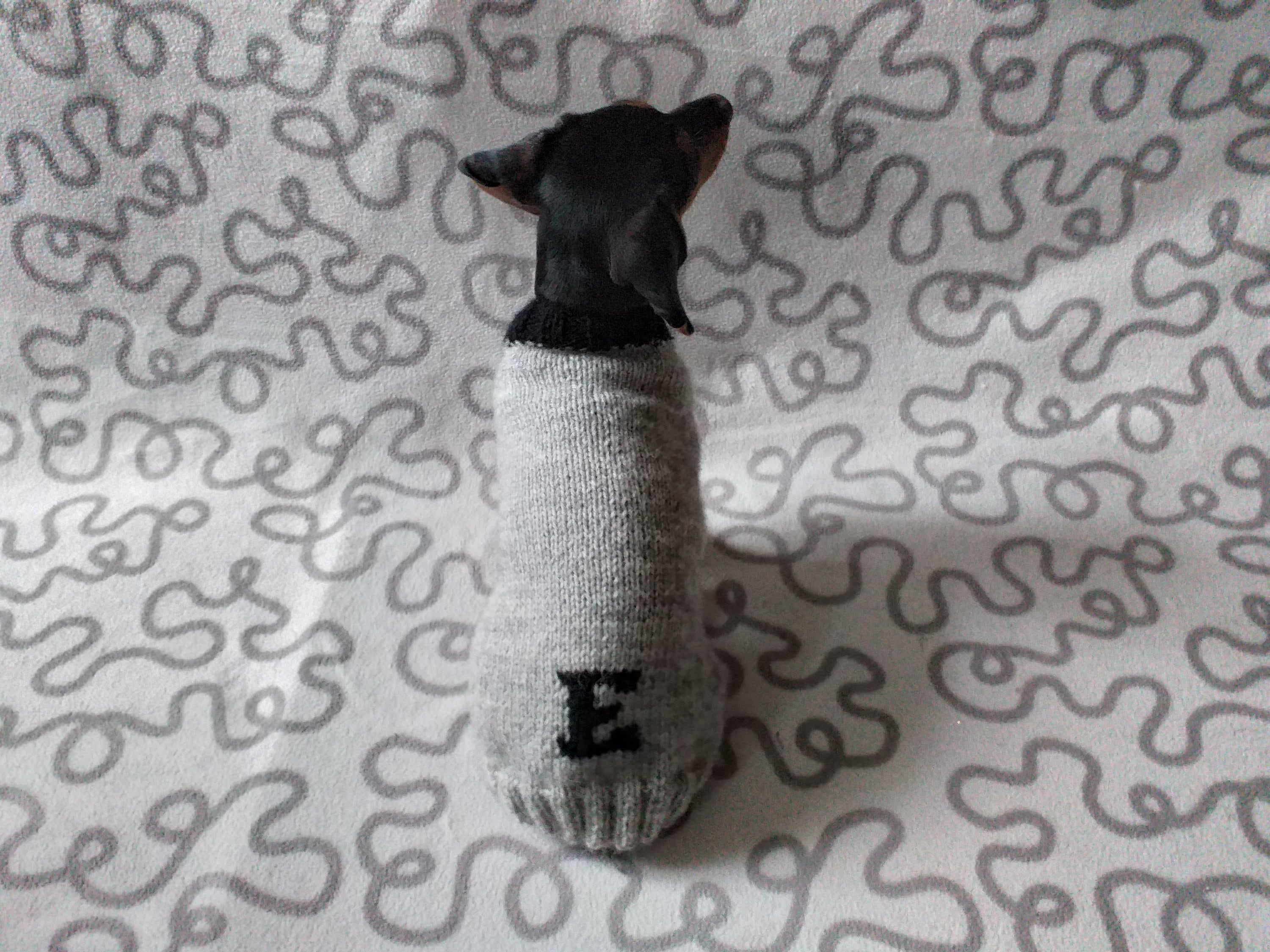 Personalized Dog Sweater With Initials Dog Clothes With - Etsy