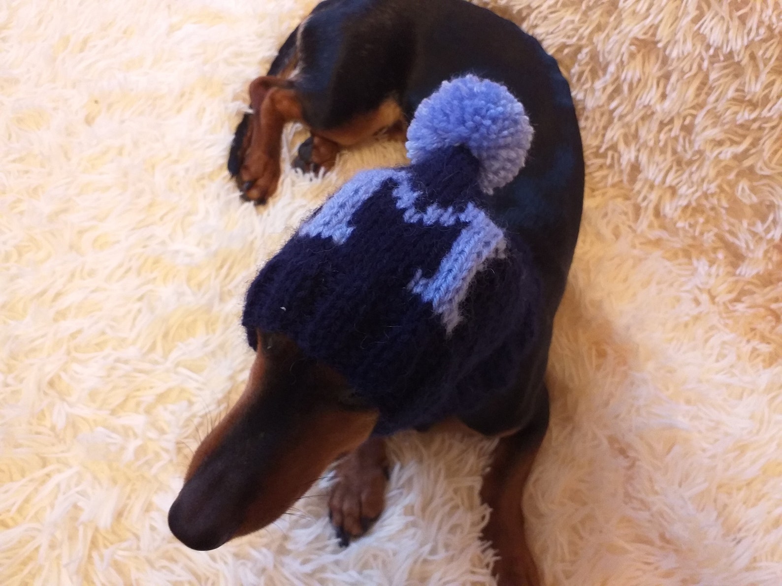 Personalized Dog Hat With Initials Dog Clothes With Letters | Etsy