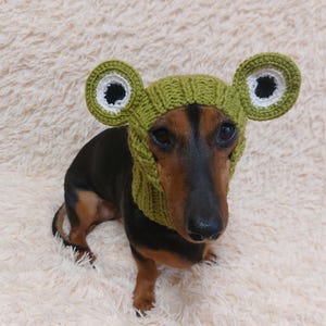 Crocheted Wool Blend Frog Hat for Pet Costume - Dog Photo Prop - Etsy