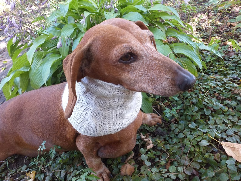 Dachshund or small dog scarf snood | Etsy
