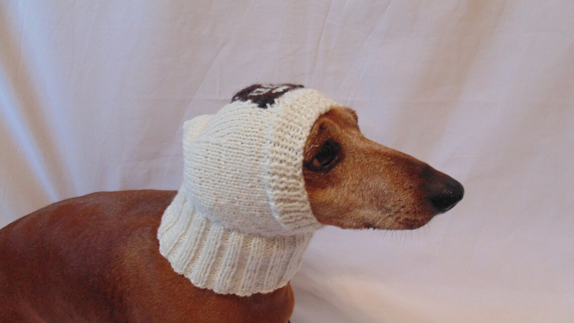 Hat for Dog Funny Poop Warm Winter Hat for Small Dog - Etsy