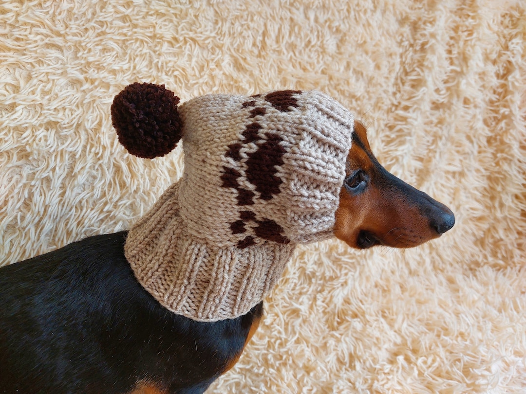Paws Clothes Hat for Dachshund or Small Dog,hat Print Paws With Pom Pom ...