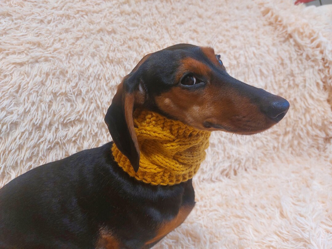 20 Colors, Warm Winter Woolen Snood for Dog - Warm Snood for Dog With ...