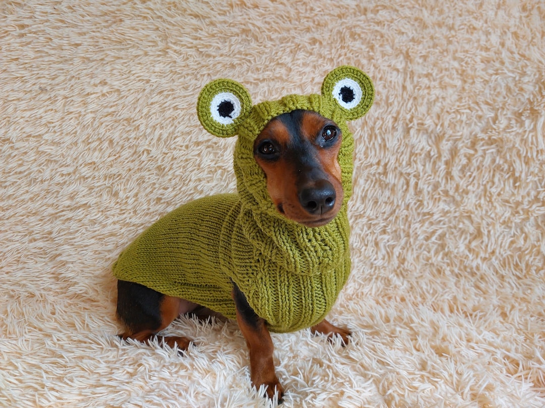 Pet Frog Costume - Halloween Costume Frog Sweater and Hat - Dachshund ...