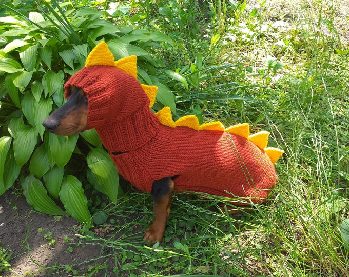 Dachshund Halloween Dinosaur Outfit Costume Sweater and Hat - Etsy