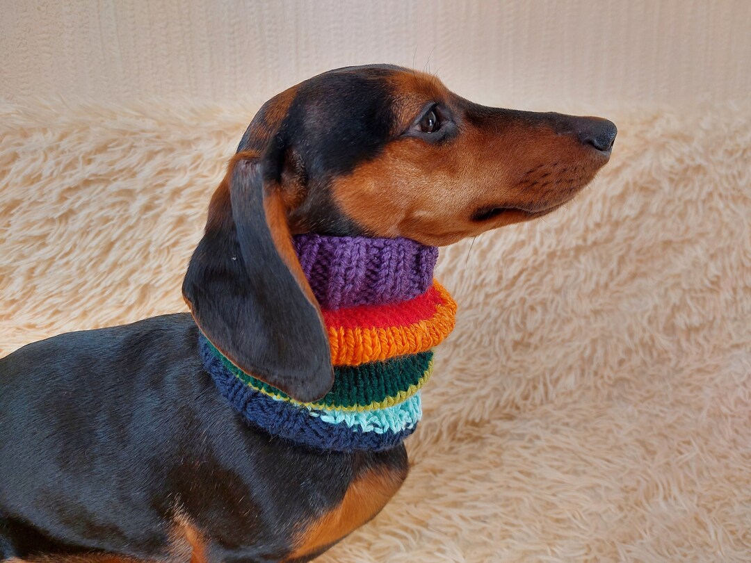 Handmade Pet Wool Snood Hat for a Dog - Etsy