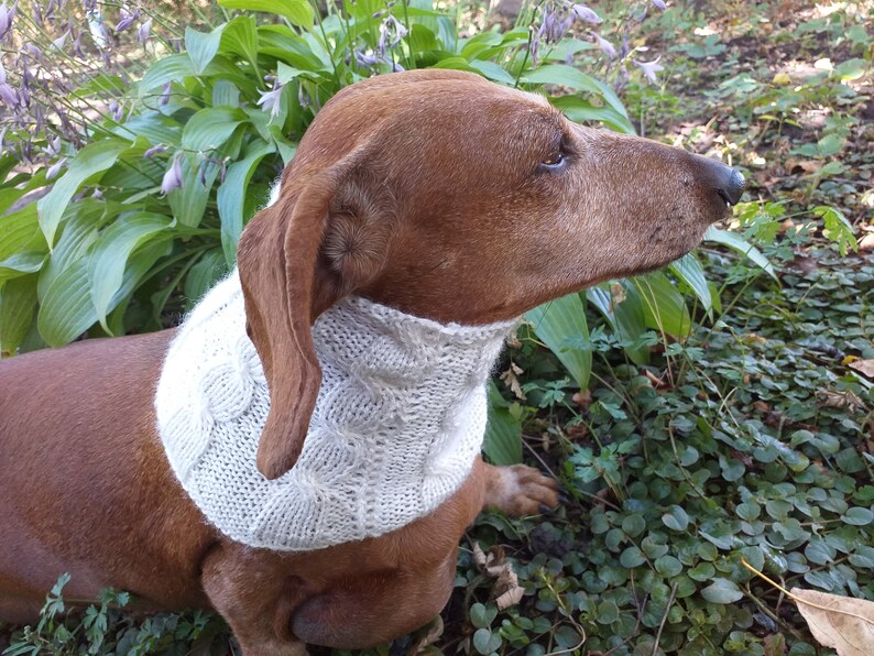 Dachshund or small dog scarf snood | Etsy