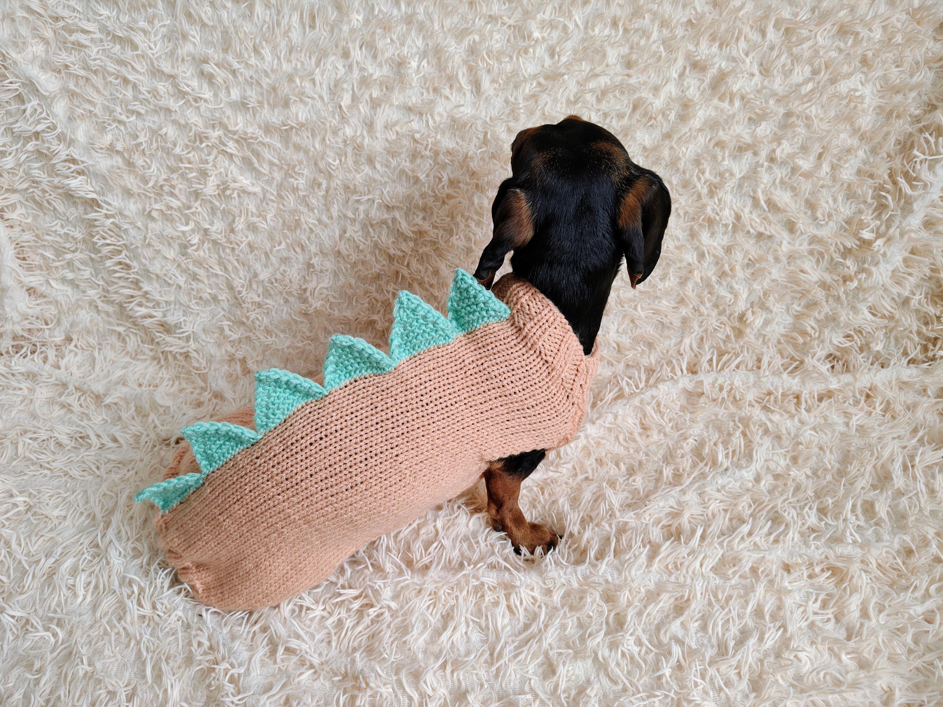 Dachshund Halloween Dinosaur Outfit Costume Sweater and Hat-dino Pet ...