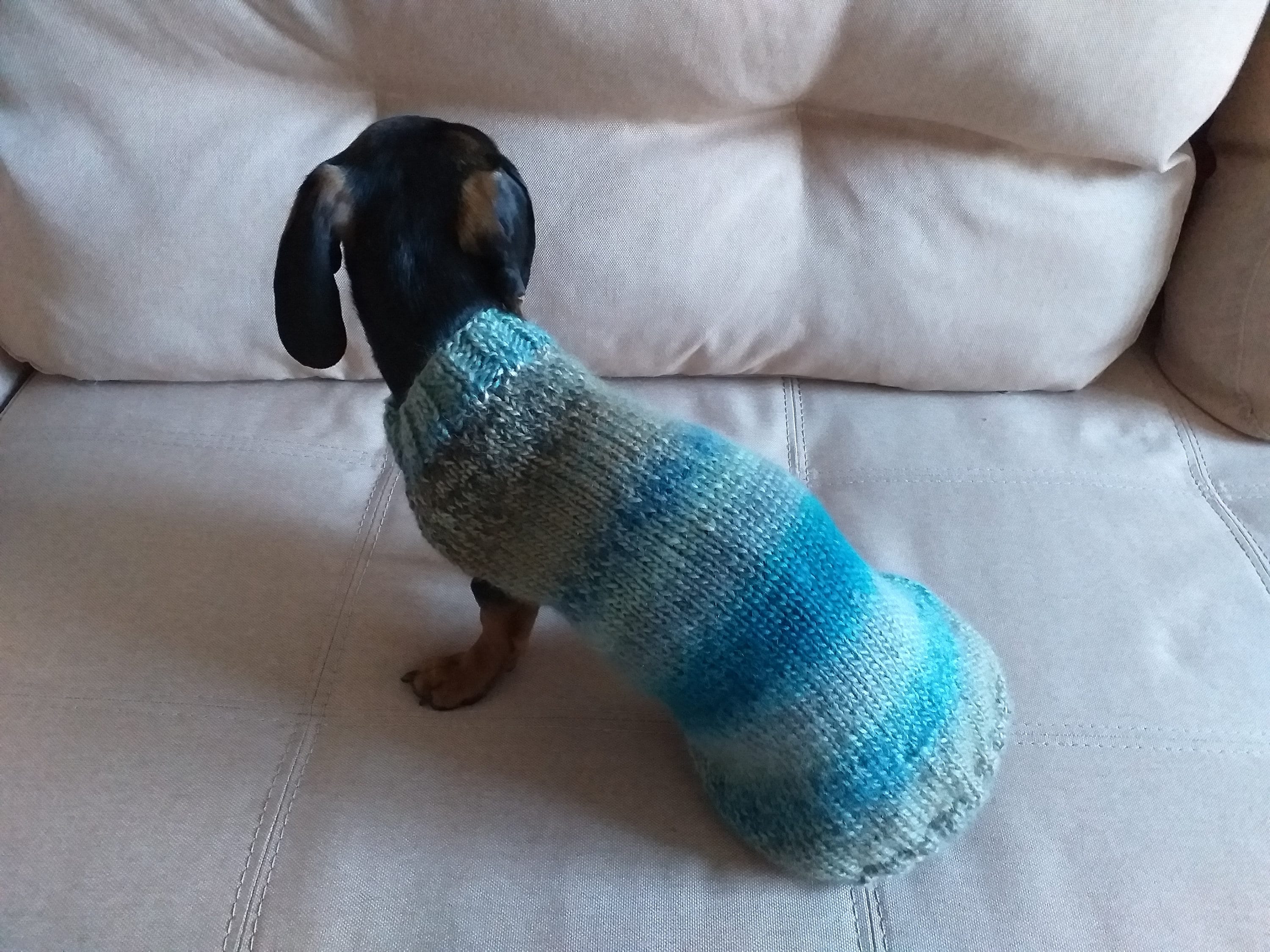 Warm Coat for Wiener Dog Miniature Dachshund Knitted Jumper - Etsy