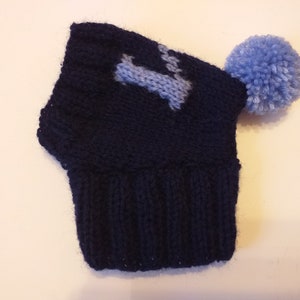 Personalized Dog Hat With Initials, Dog Clothes With Letters Name, Dog ...