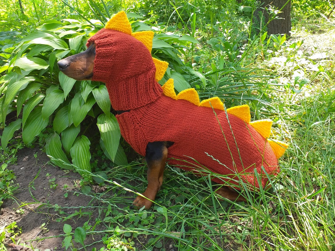 Dragon Dinosaur Winter Dog Clothes Costume Jumper and Hat - Etsy