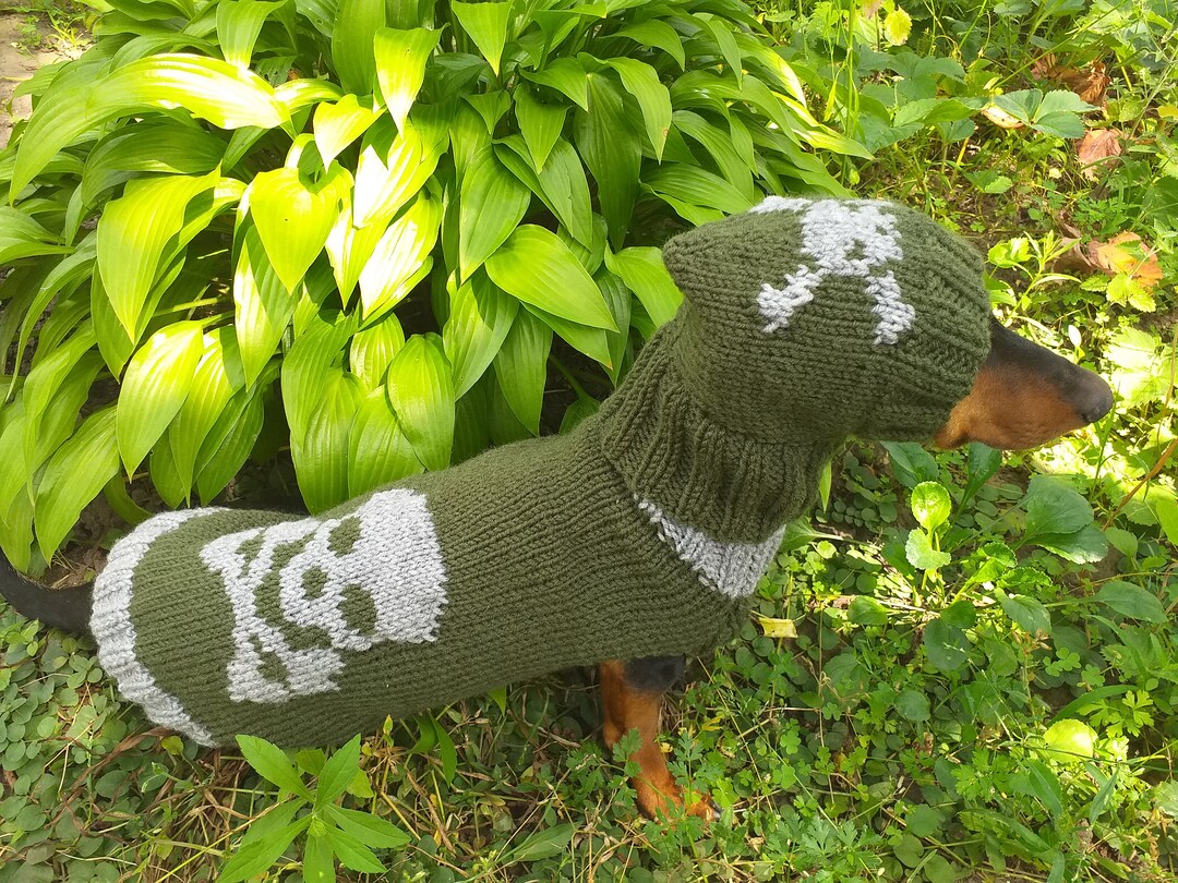 Pirate Costume Dog Costume Sweater and Hat, Pet Winter Clothing Set ...