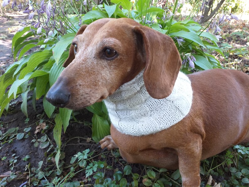 Dachshund or small dog scarf snood | Etsy