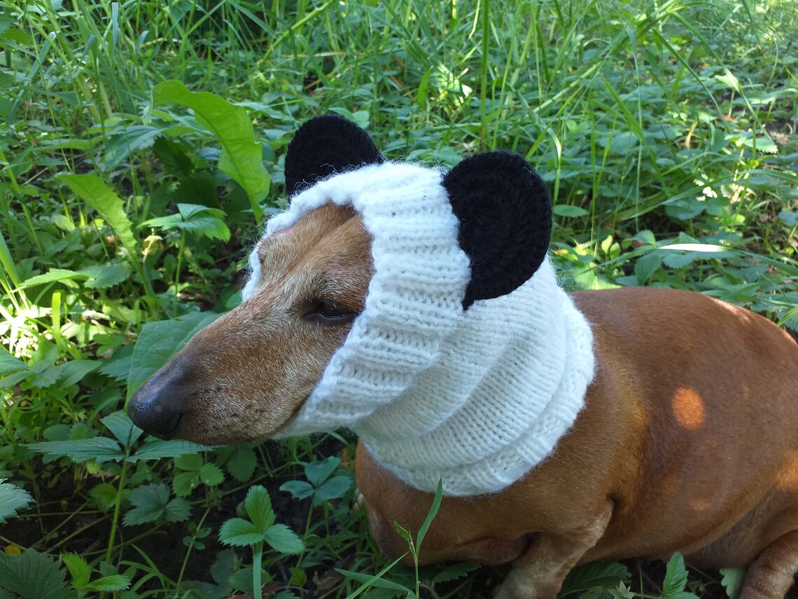 Panda dog clothes hat snood dachshund snood panda | Etsy