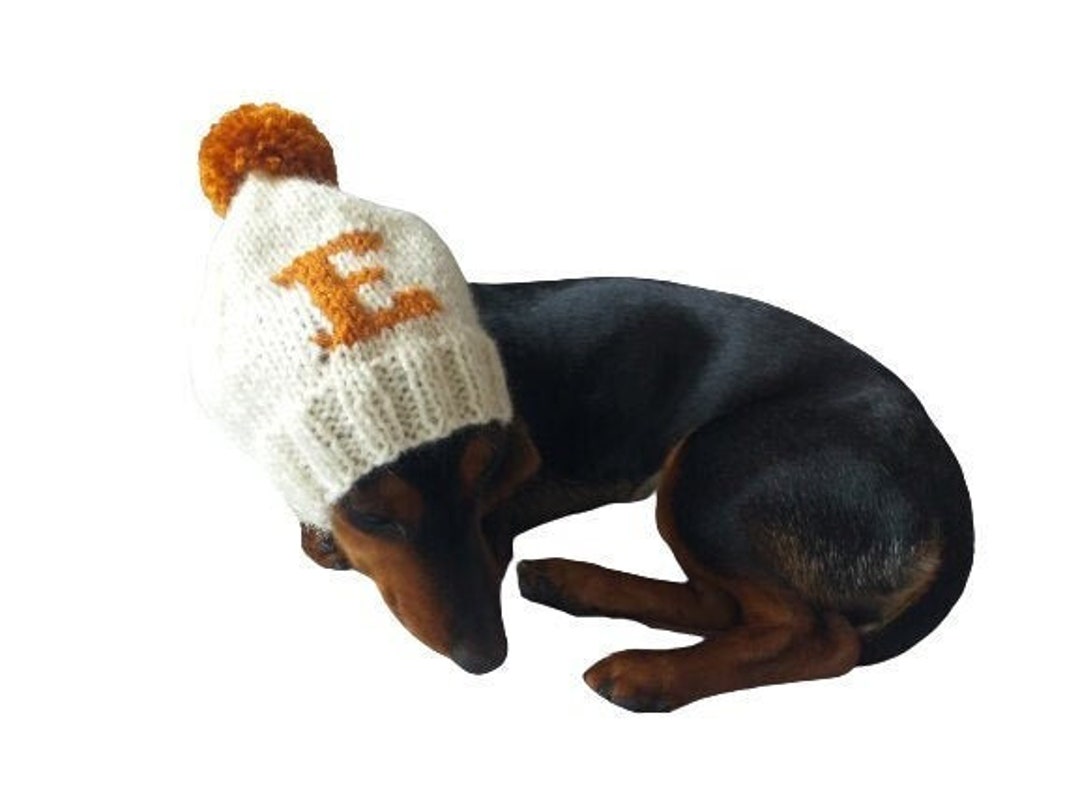 Personalized Dog Hat With Initials, Dog Clothes With Letters Name, Dog ...