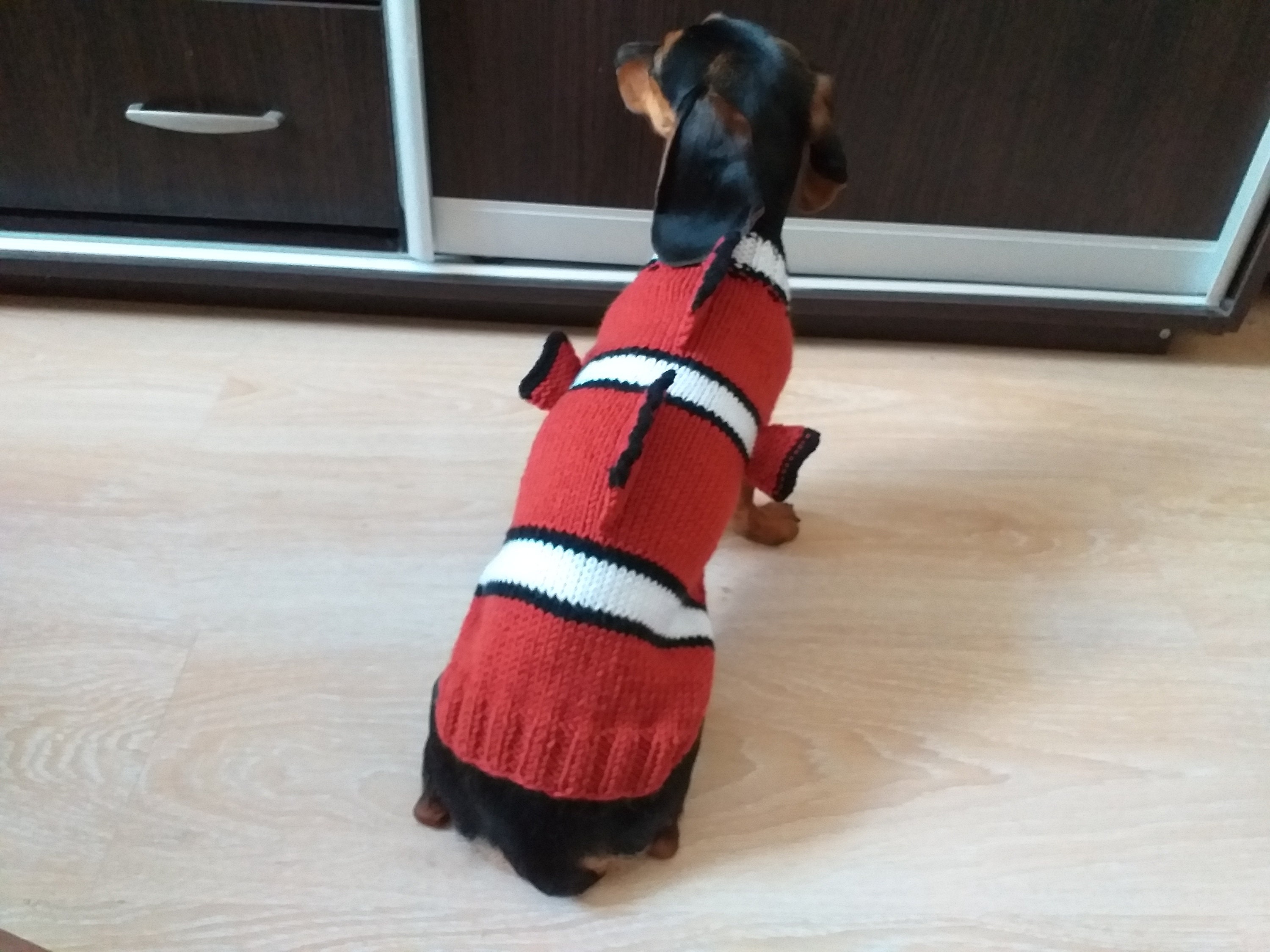 Fish Costume for Dog Sweater Sweater Fish for Dogs Clothes - Etsy