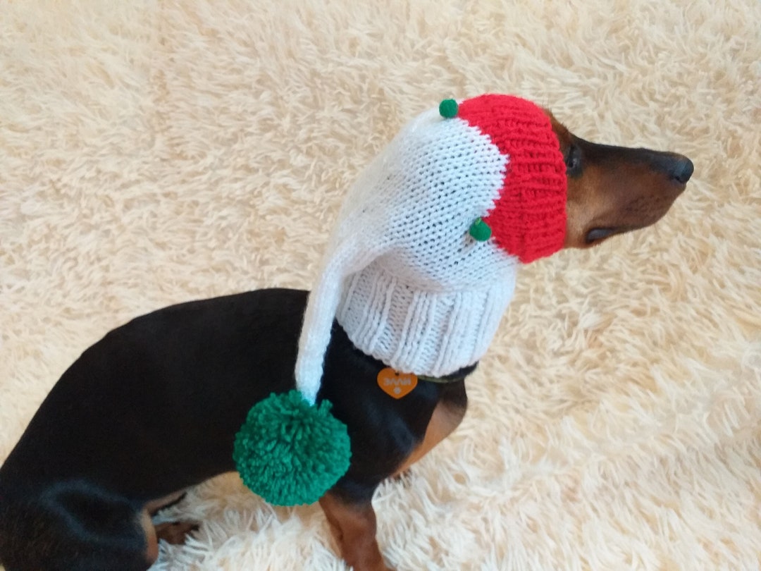 Christmas Santa Hat for Dog With Pompom Bright Festive Costume Holiday ...