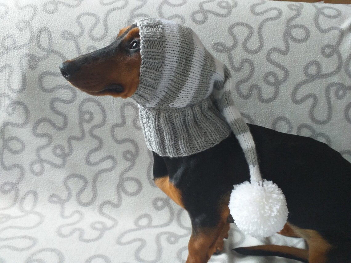 Christmas Elf Hat for Dachshunds or Small Dogs Dog Elf Hat - Etsy