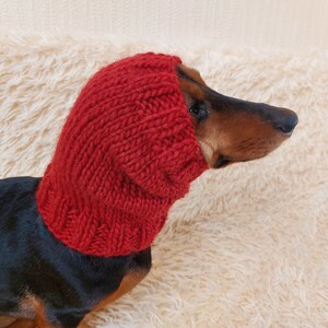 Knitted Angora Wool Snood for Dog, Hat Scarf Snud for Dog, Dog Snood ...