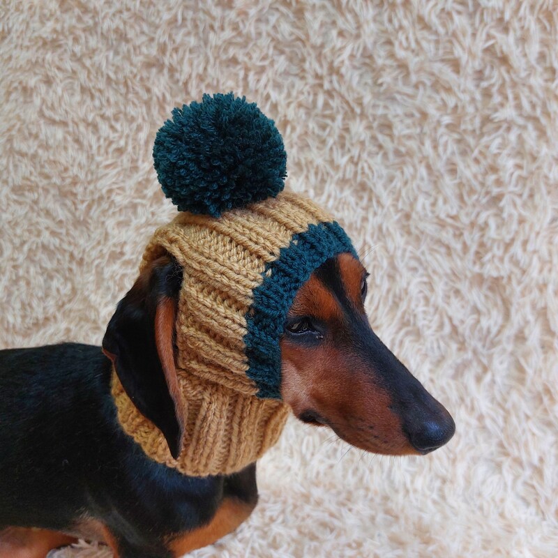 Winter Dog Hat With Ear Holes - Etsy