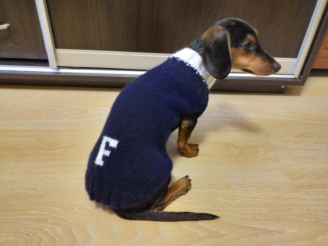 Personalized Dog Sweater With Initials, Dog Clothes With Letter of Name ...