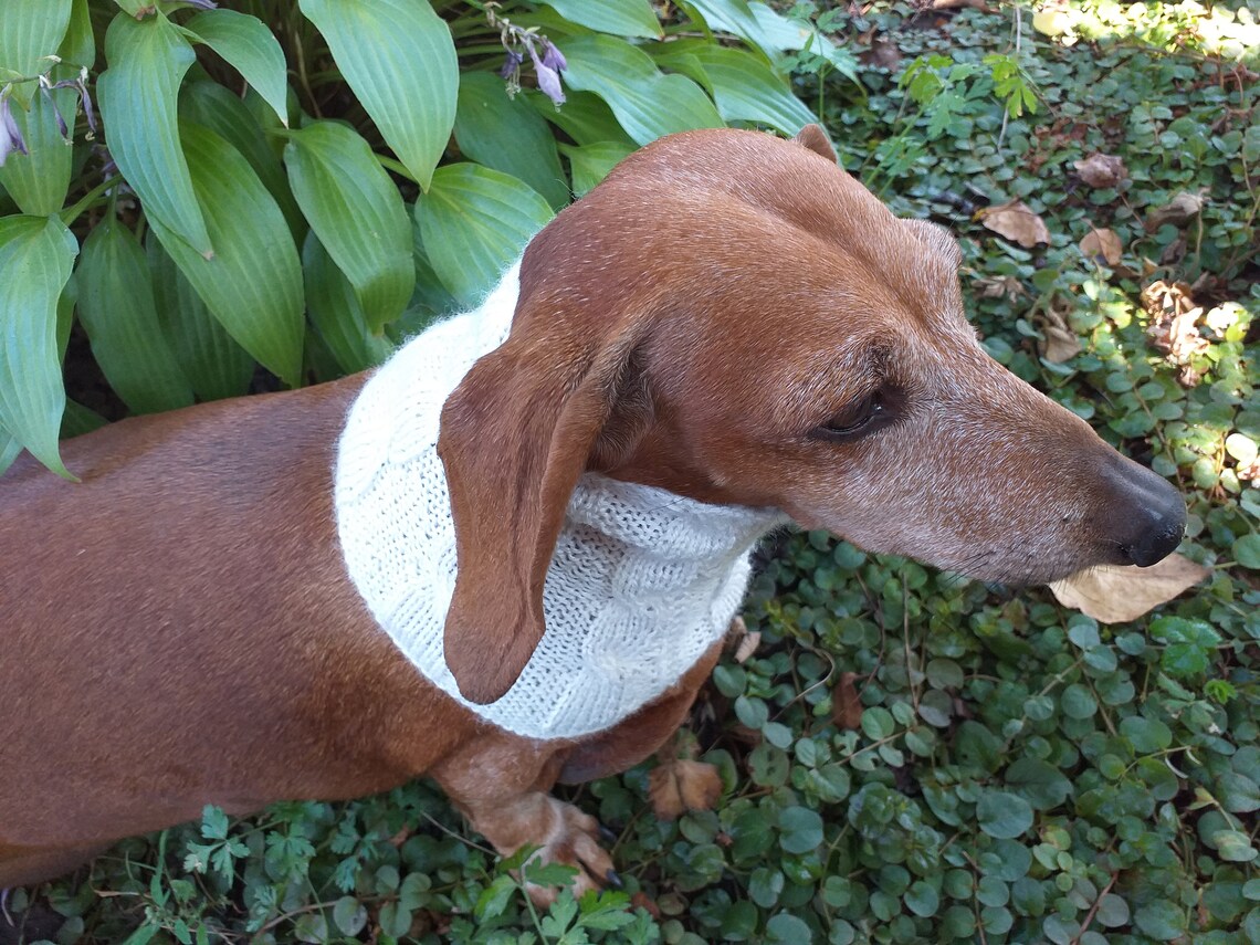 Dachshund or small dog scarf snood | Etsy