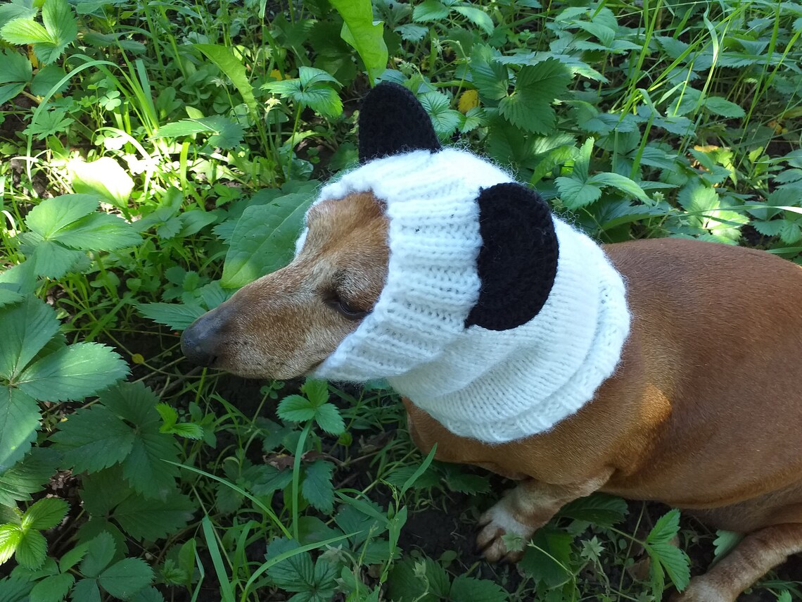 Panda dog clothes hat snood dachshund snood panda | Etsy