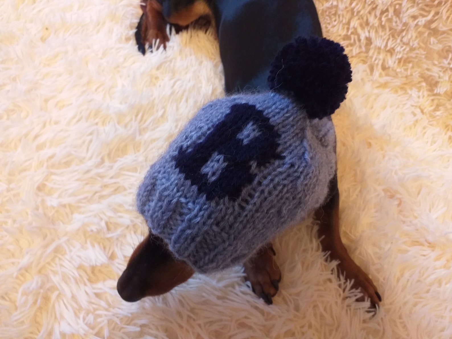 Personalized Dog Hat With Initials Dog Clothes With Letters | Etsy