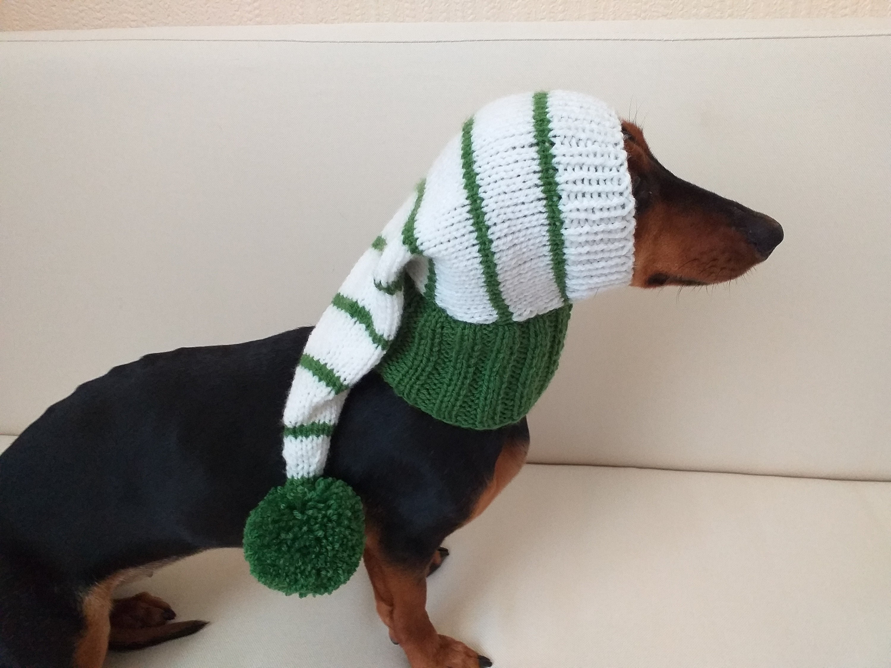 Christmas Hat for Dog Santa Hat for Dog Hat for Dog Hat for - Etsy