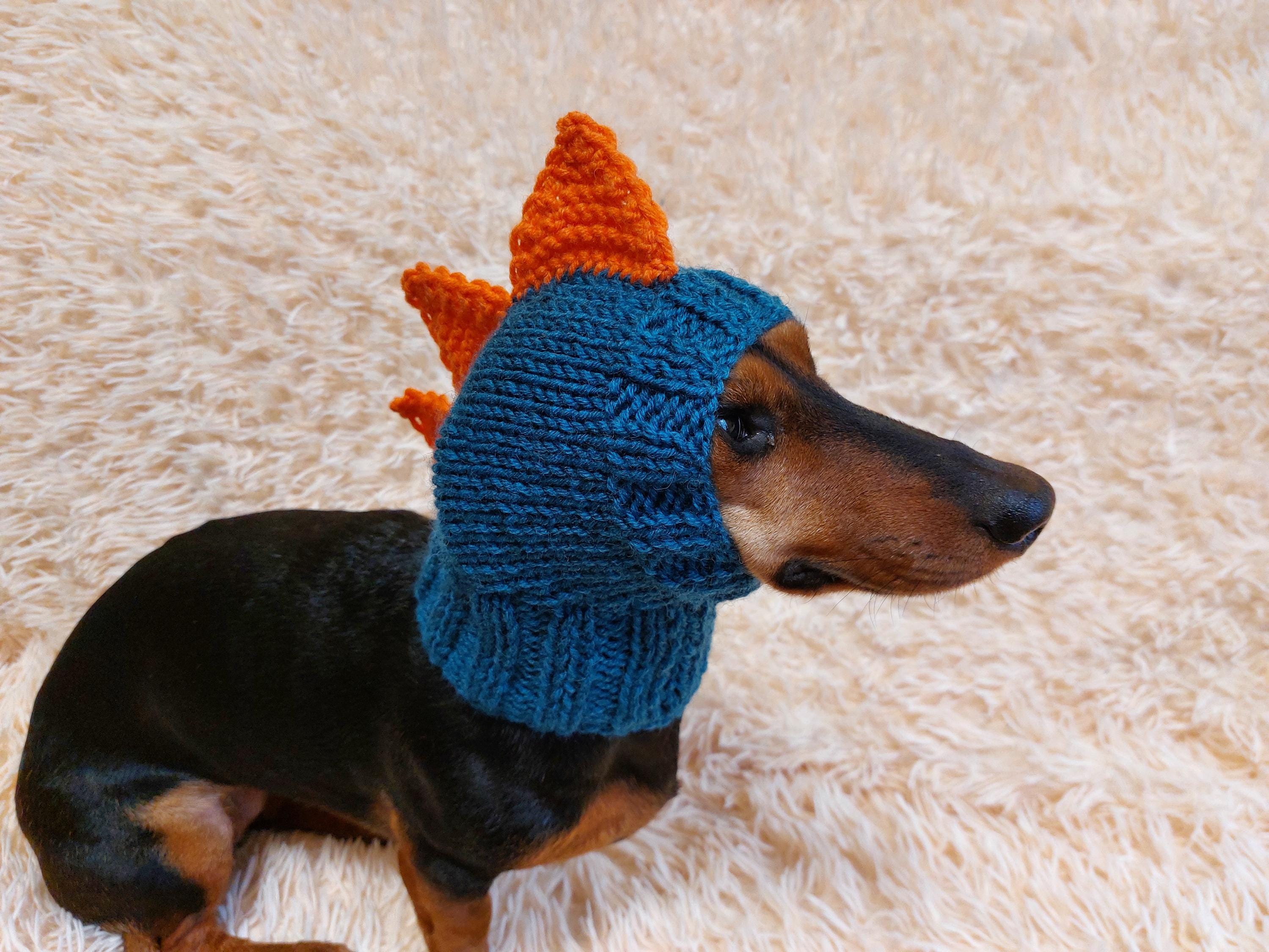 Dino Dog Hat: Wool Blend Dinosaur Costume for Dachshund - Etsy