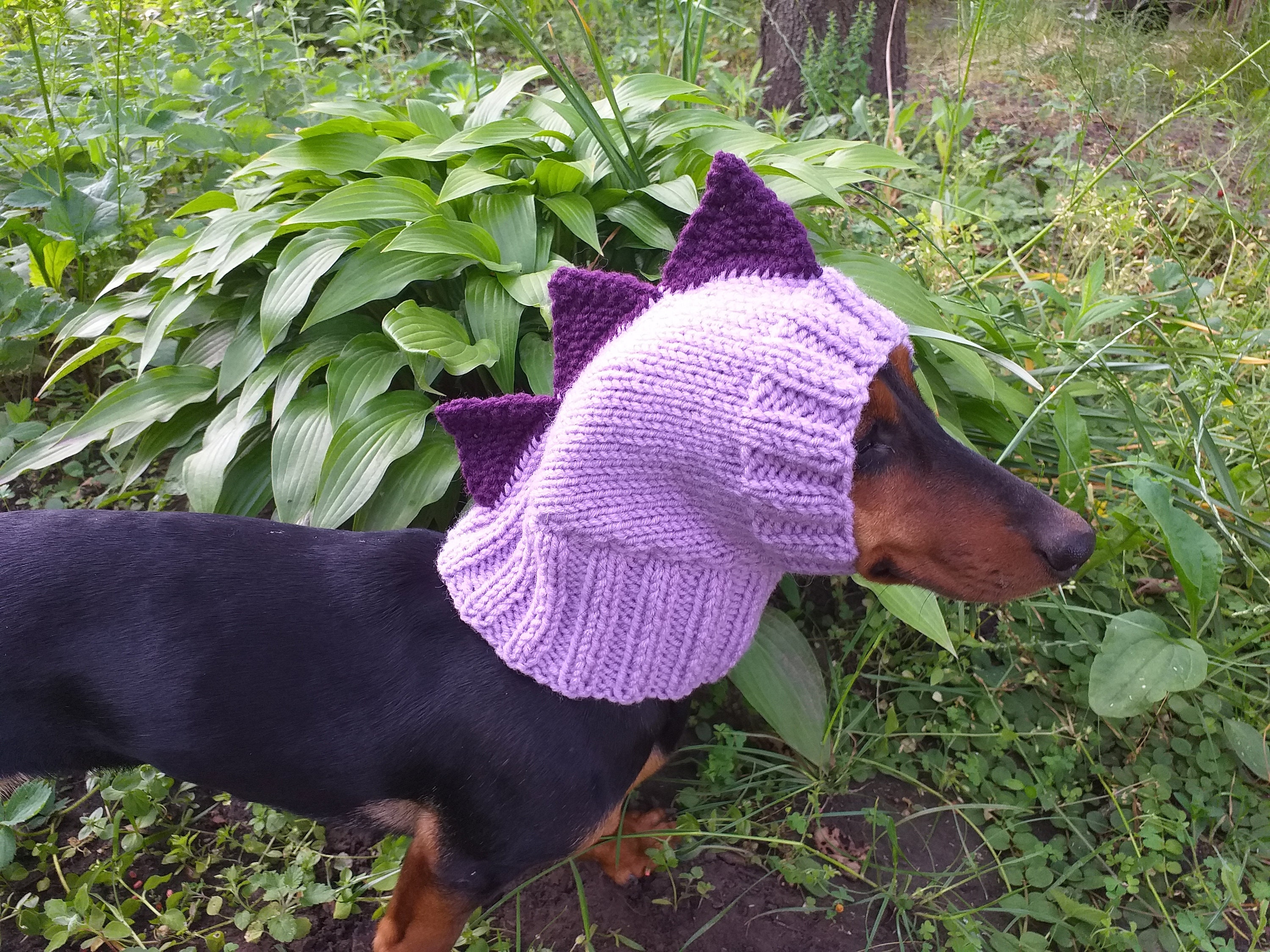 Dinosaur Hat For Dog Hat Dinosaur Dog Clothes Dragon Etsy dinosaur-hat-for-dog-hat-dinosaur-dog-clothes-dragon-etsy