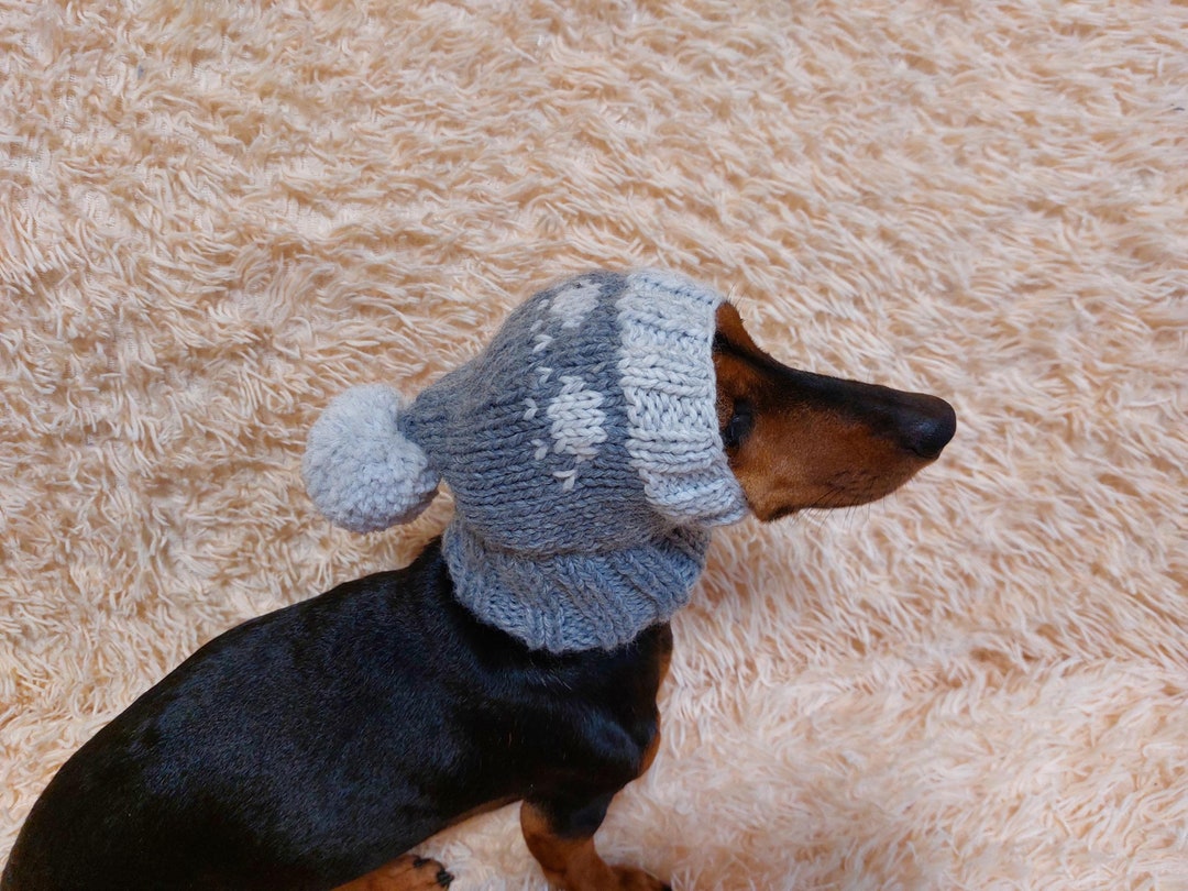 Paws Clothes Hat for Dachshund or Small Dog,hat Print Paws With Pom Pom ...